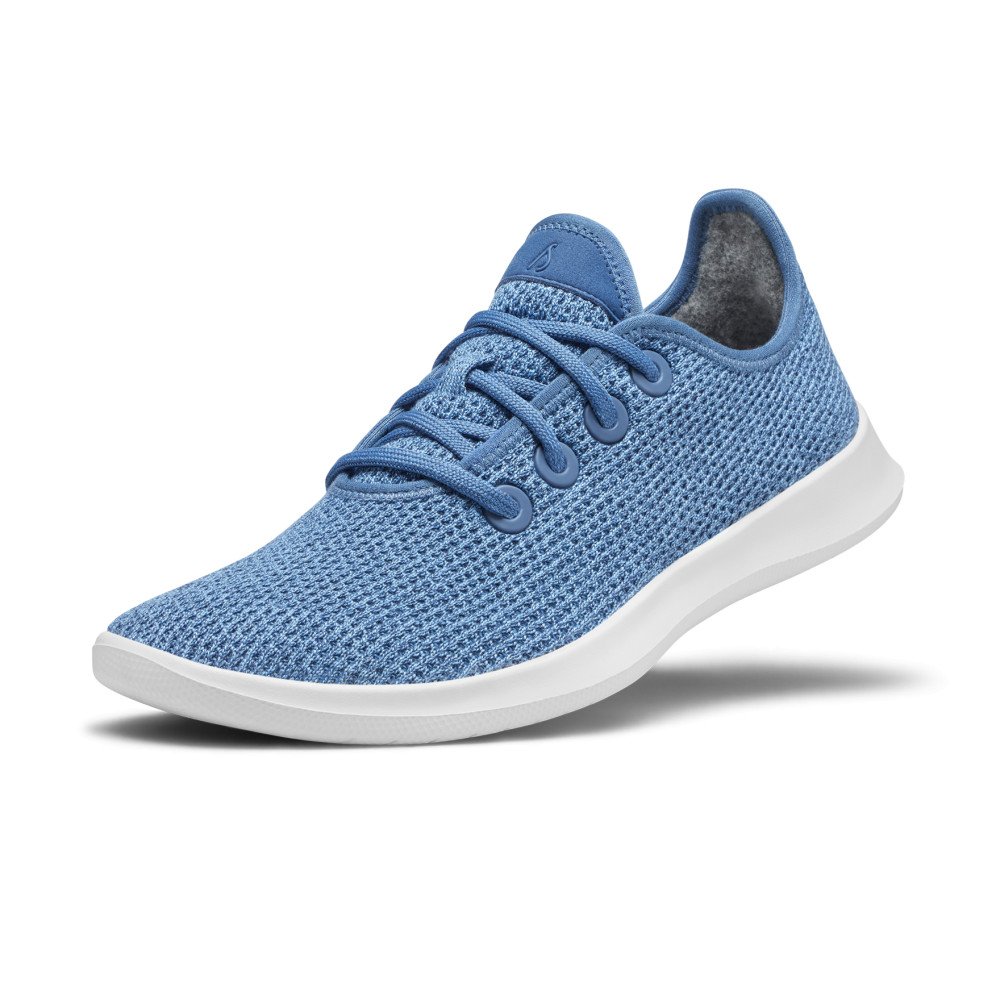 allbirds Men's Tree Runners / Blue / TR1MNS | sneakshero