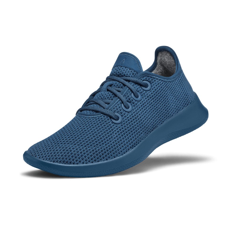 allbirds Men's Tree Runners / Blue / TR2MTW | sneakshero