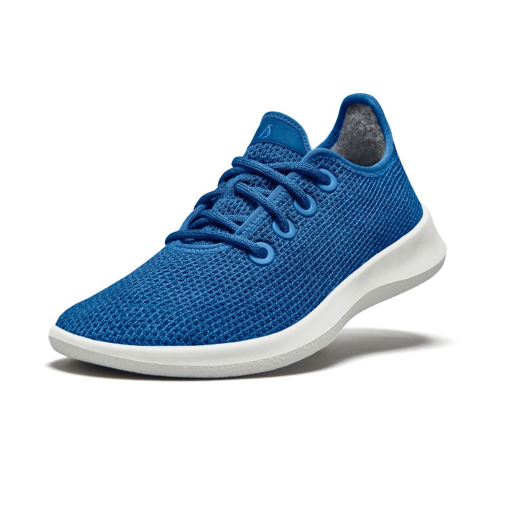 allbirds Men's Tree Runners / Blue / TR2MPA | sneakshero