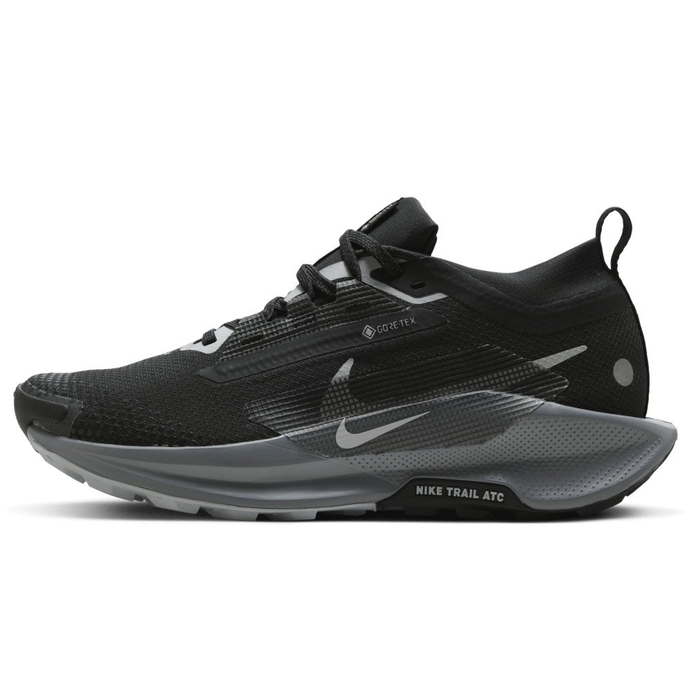 Nike Pegasus Trail 5 GORE-TEX / Schwarz / FQ0912-001 | sneakshero