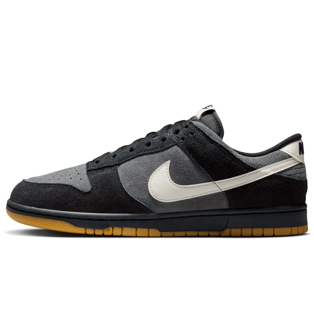 Nike Dunk Low Retro SE / Multicolor / HQ1931-001 | sneakshero
