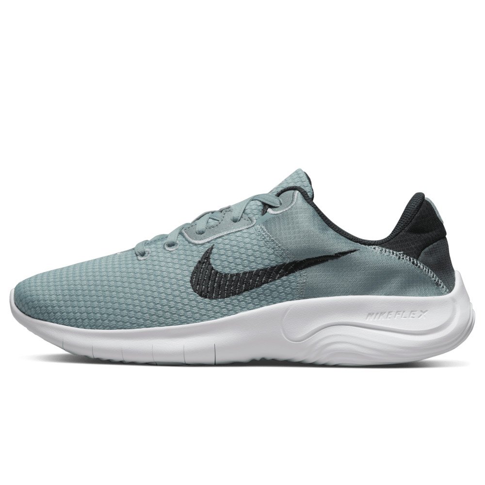 Nike Nike Flex Experience Run 11 Next Nature / Grau / DD9284-007 ...
