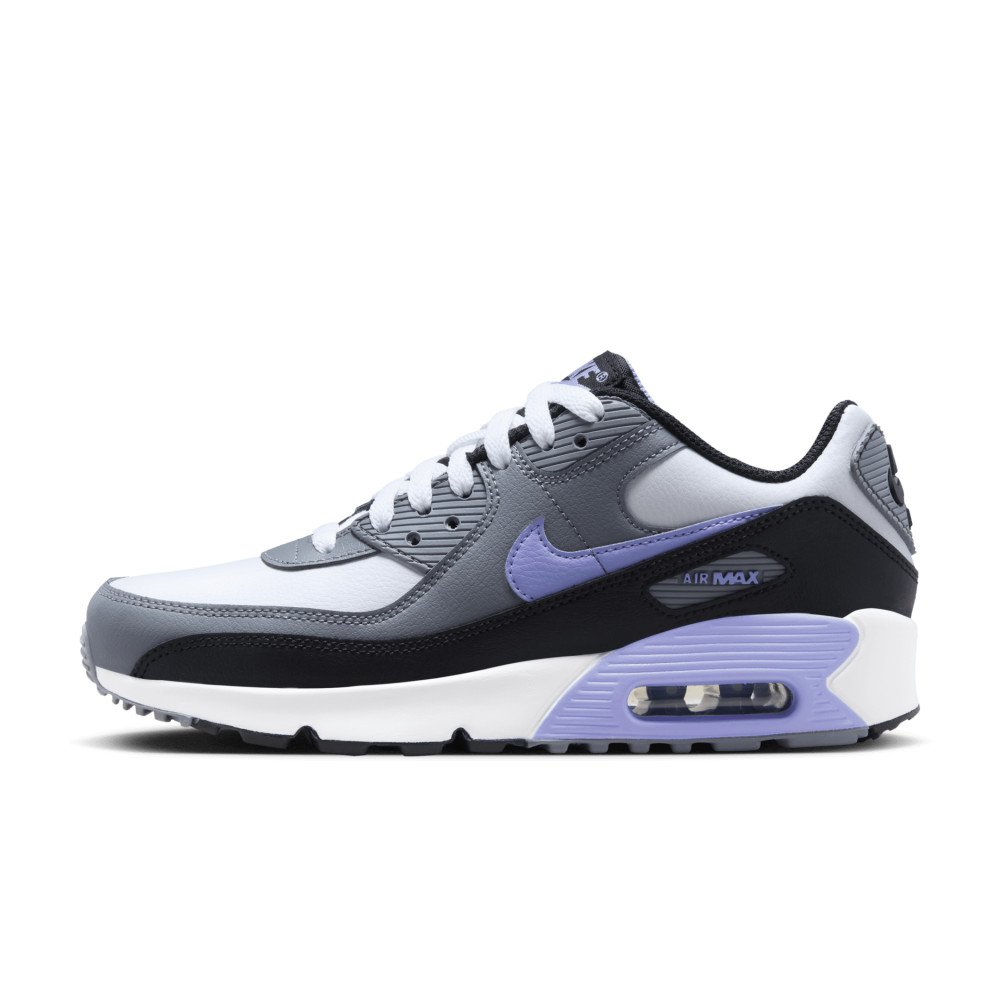 Nike Nike Air Max 90 LTR / Grau / DV3607-001 | sneakshero